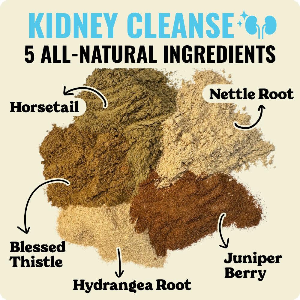 4-Stage Detox Kit - Parasite, Heavy Metal, Liver & Kidney Detox – Boost ...