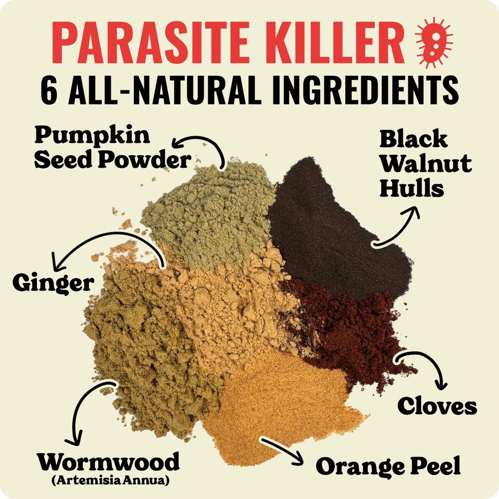 4-Stage Detox Kit - Parasite, Heavy Metal, Liver & Kidney Detox – Boost ...